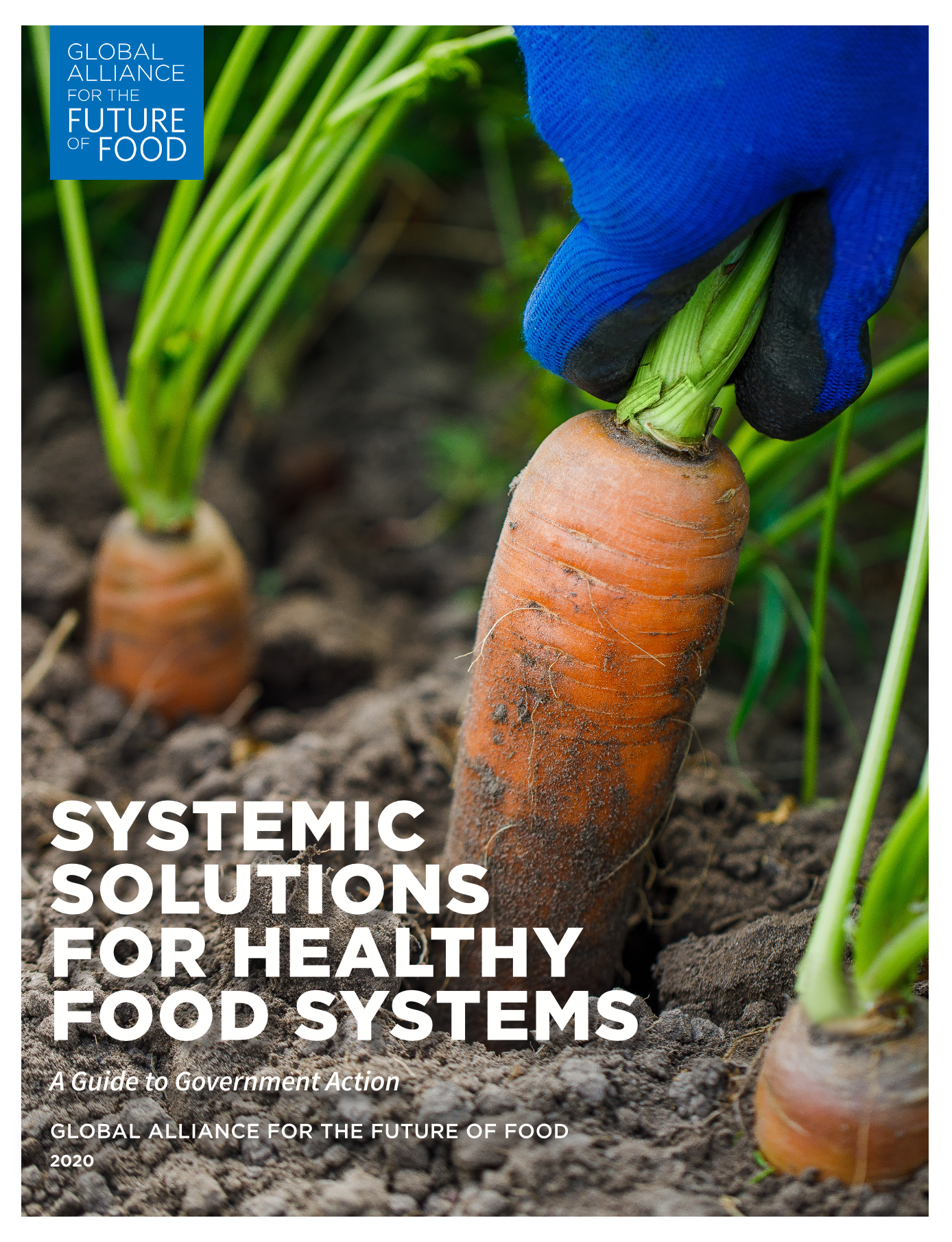 Systemic Solutions for Healthy Food Systems - Global Alliance For The ...