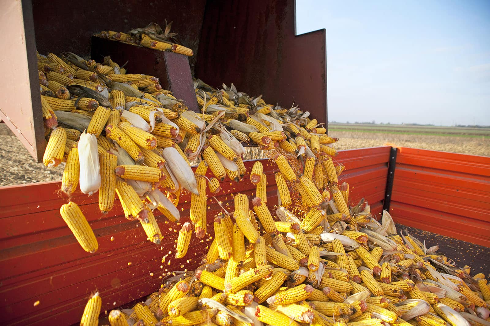 Reducing Food Loss and Waste-A Roadmap for Philanthropy - Global ...