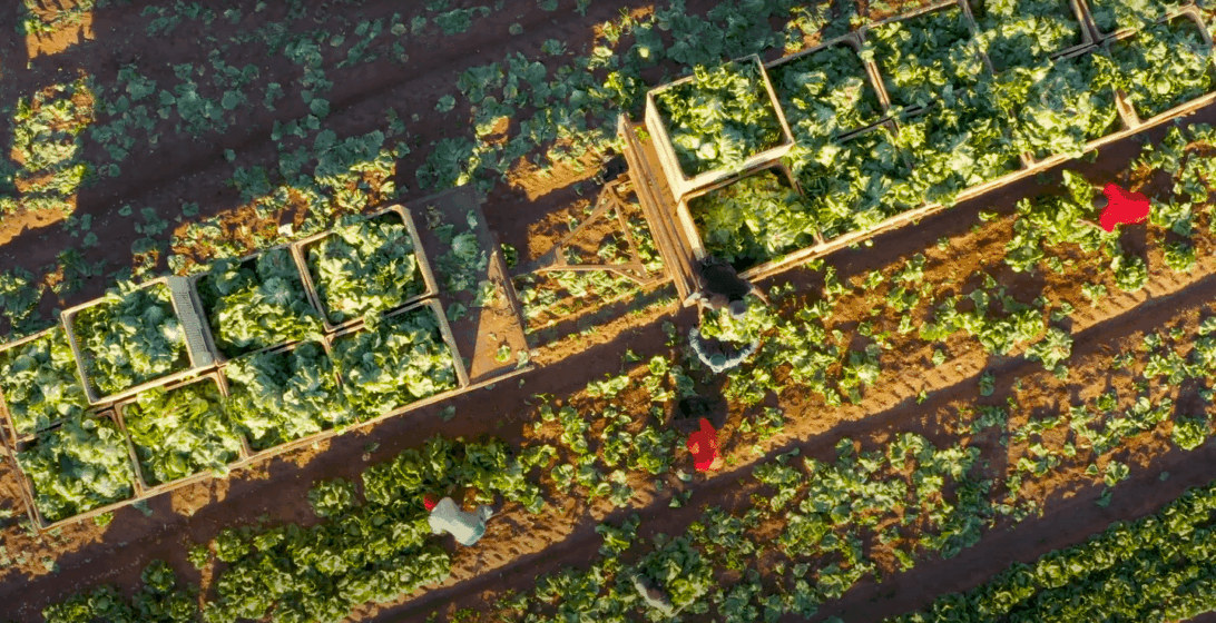 Regenerative & Agroecological Food Systems Transitions (RAFT) - Global ...