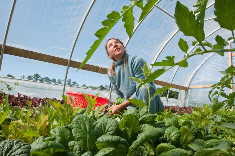 Catalyzing Finance and Action for Regenerative and Agroecological Food ...