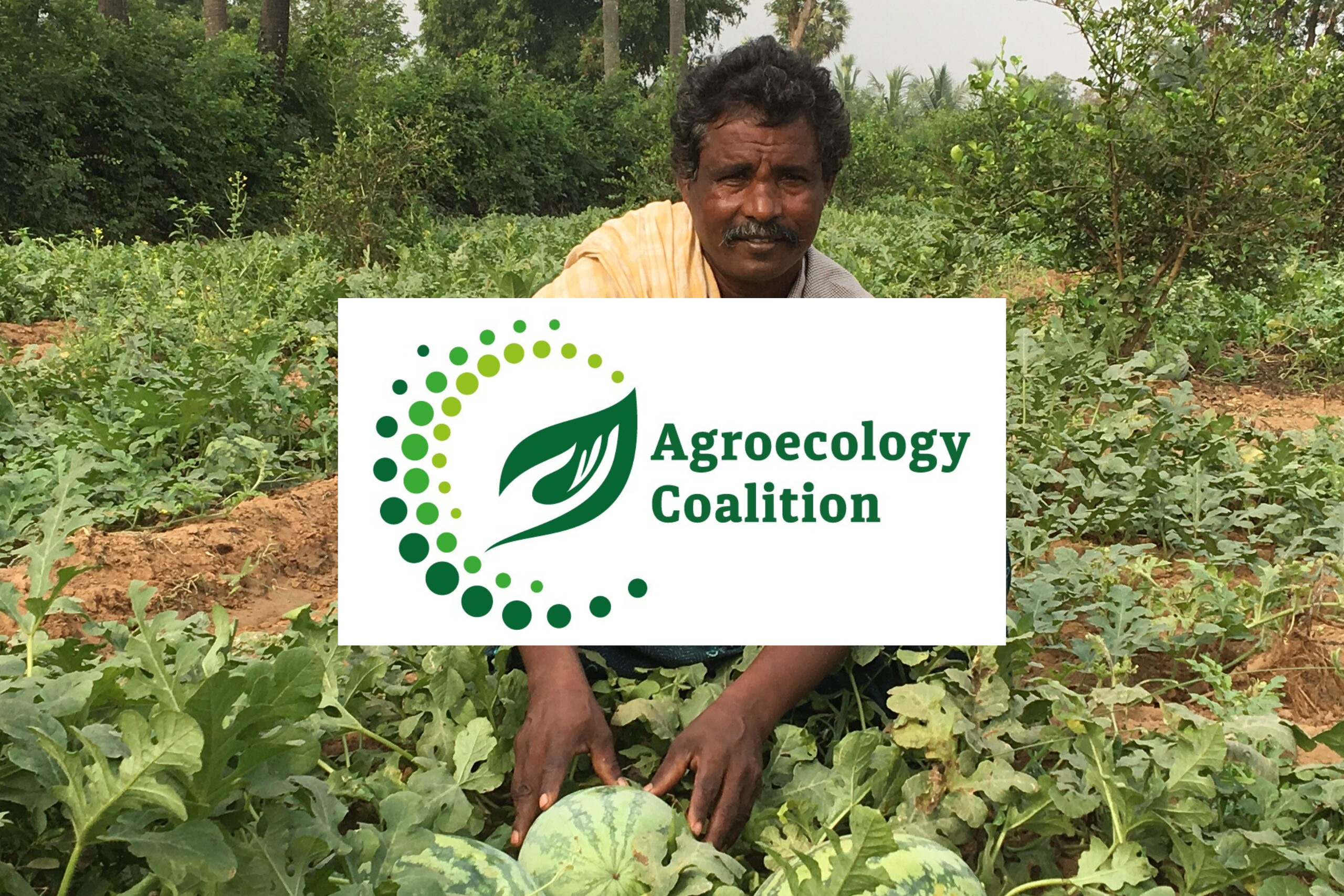 2025 Agroecology Donors Convening: Boosting Food Systems Transformation ...